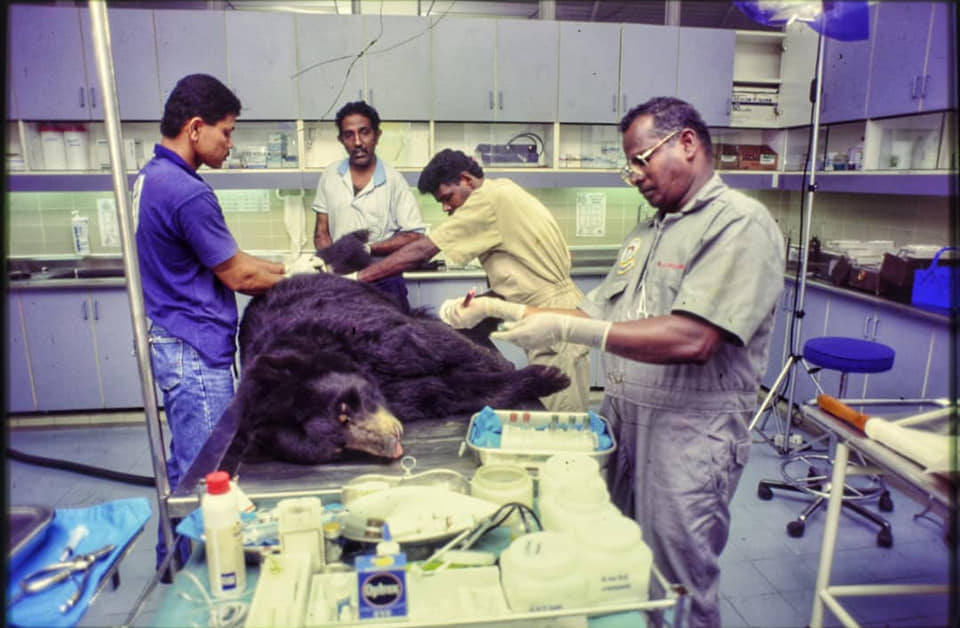 Prof Datuk Dr Vellayan Subramaniam Bestowed With Sandosham Gold Medal ...